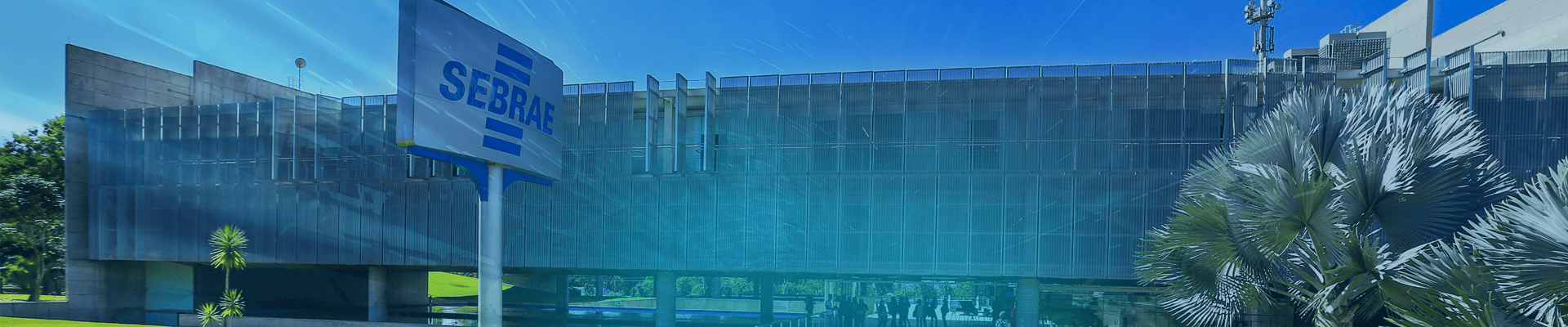 Faça uma visita virtual pelo Sebrae - Sebrae